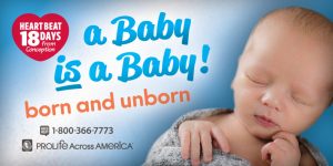 ProLife Across America | Learn