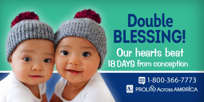 ProLife Across America | Learn