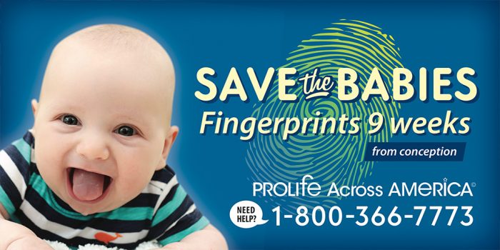 ProLife Across America | Learn