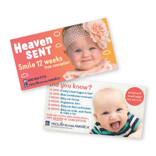 ProLife Across America | ProLife Store
