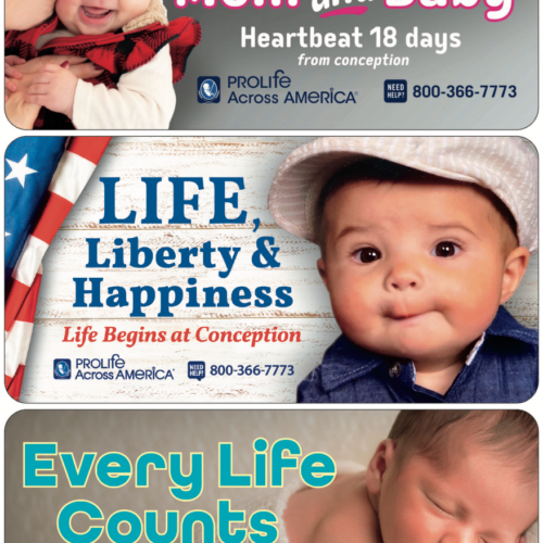 ProLife Across America | ProLife Store