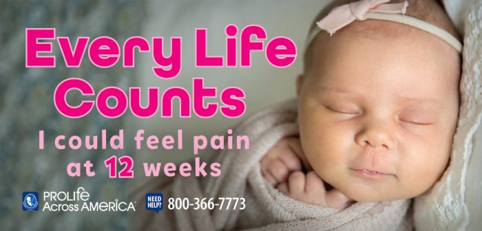 ProLife Across America | Current Billboards