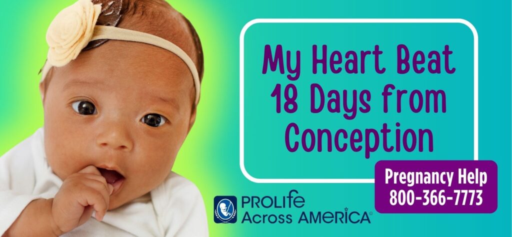 ProLife Across America | Current Billboards