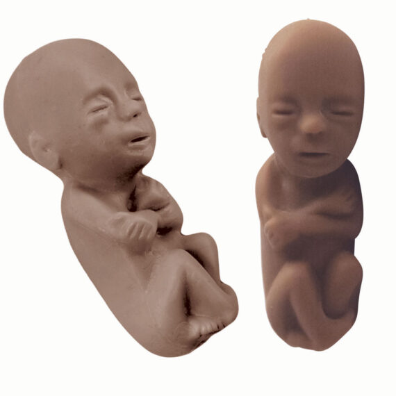 ProLife Across America | ProLife Store