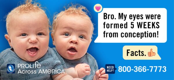 ProLife Across America | Current Billboards